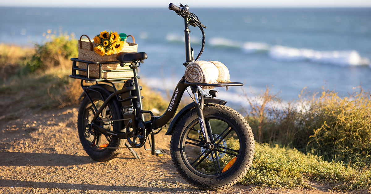 Tesway Electric Bikes Canada | Fun E-Bikes For Everyday Use – Tesway CA